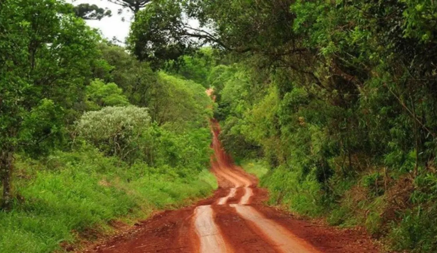 «La Ruta Natural», la web que lanzó Argentina para planificar tus ...