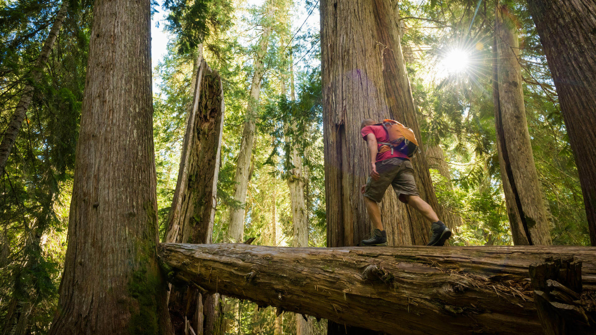 Descubriendo el turismo sostenible en destinos globales – tres60.travel