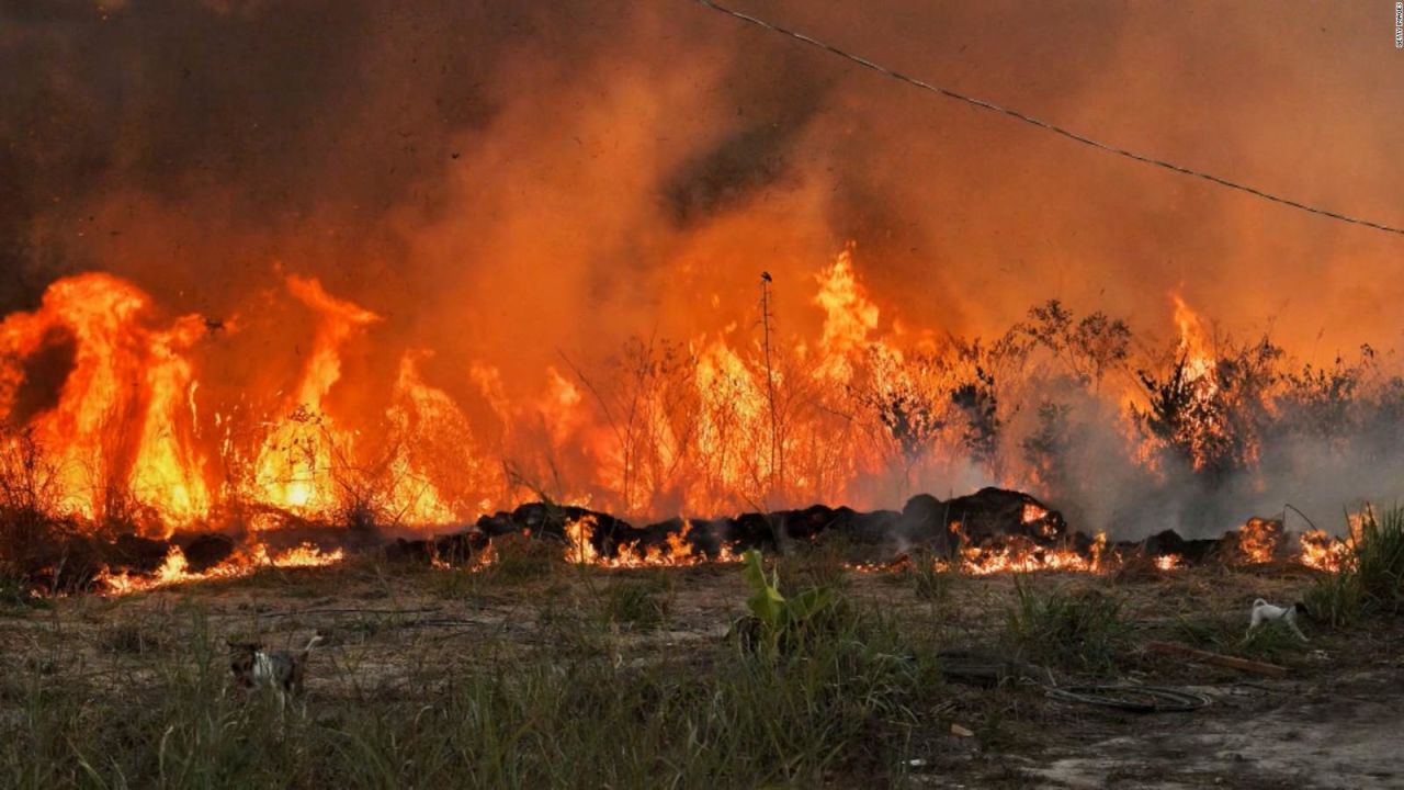 Brasil arde y el humo alerta a Sudamérica – tres60.travel