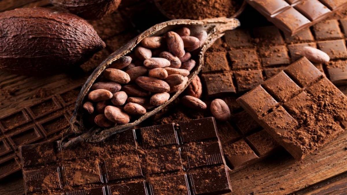 México: el cacao como patrimonio cultural y económico en Tabasco ...
