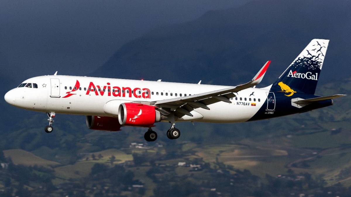 Avianca: nuevas rutas entre Centroamérica y Florida para potenciar la ...