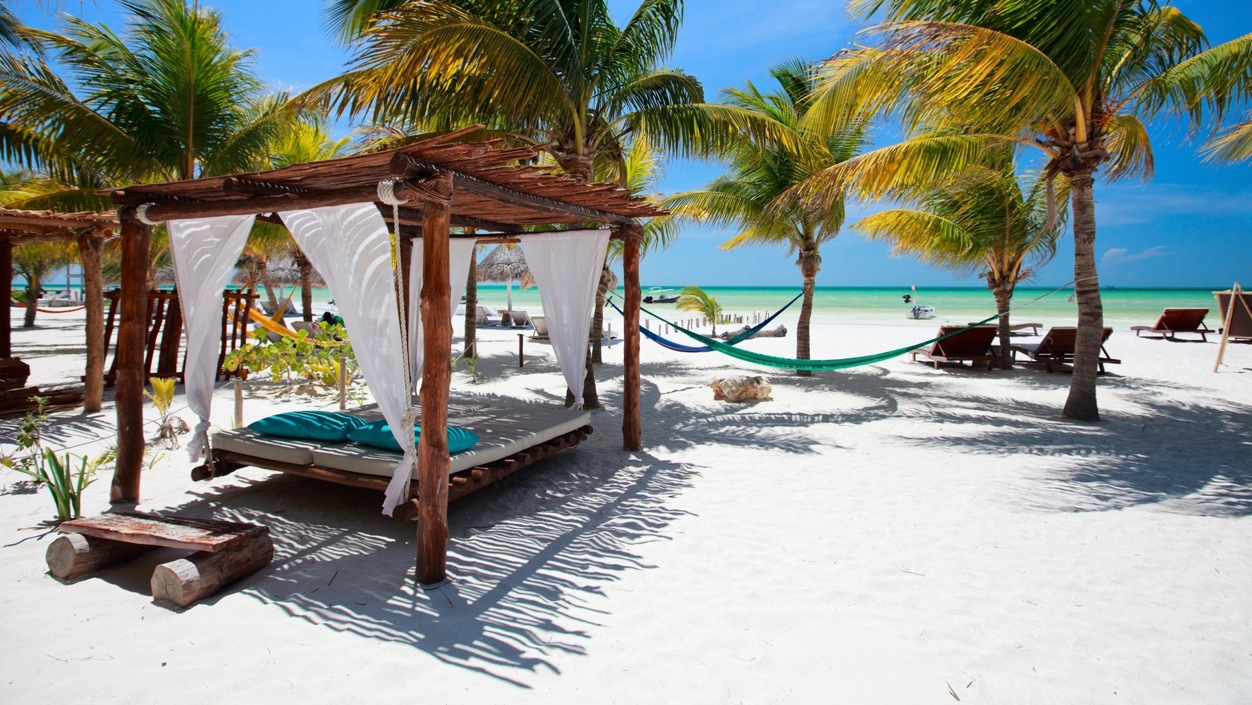 CTO y Travel & Adventure Shows anuncian alianza estratégica para ...